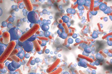 Multidrug-Resistant Organisms in Wound Management - Antimicrobial ...
